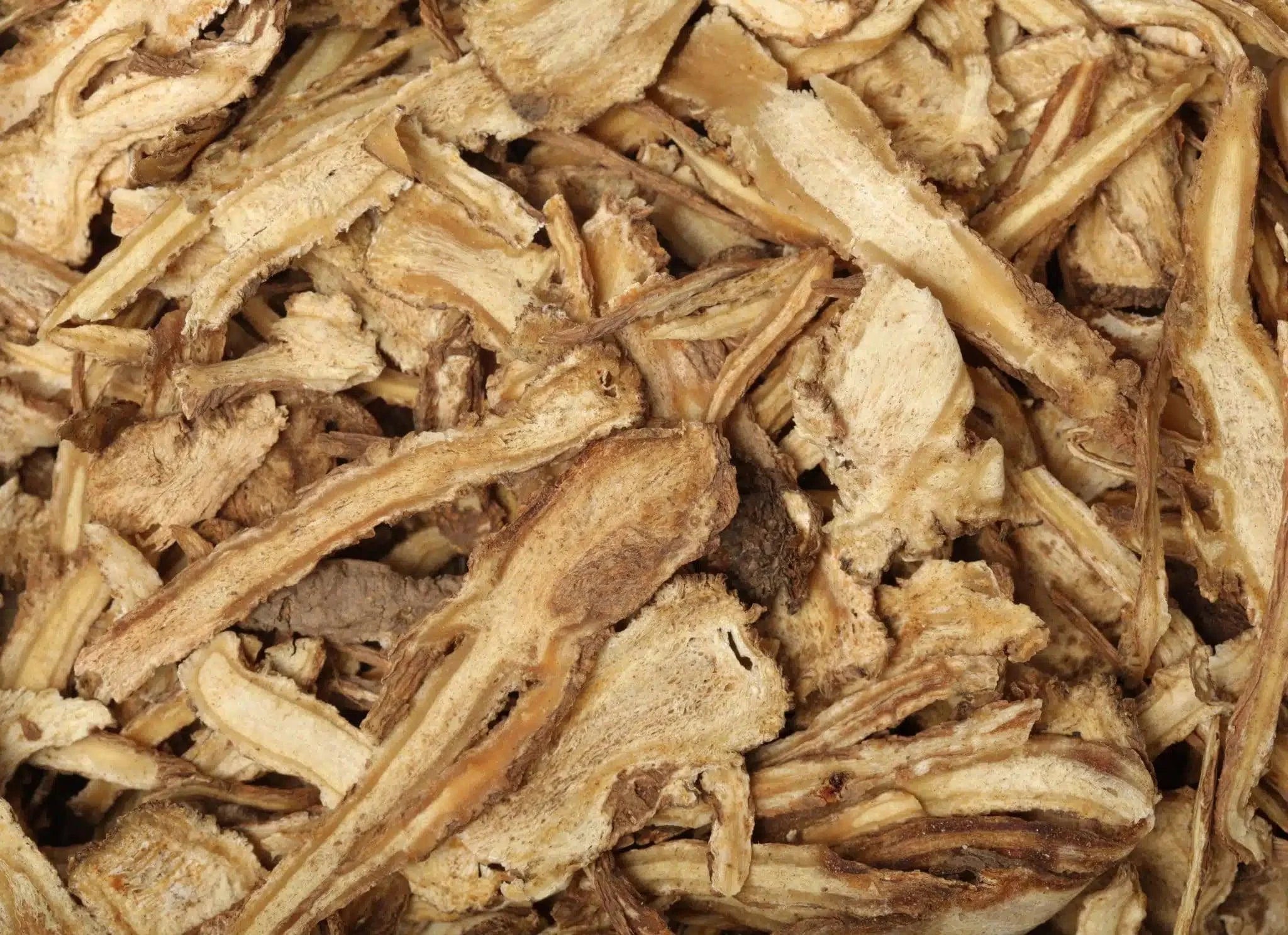 Angelica: TCM’s Premier Gynecological Herb – Root + Bones