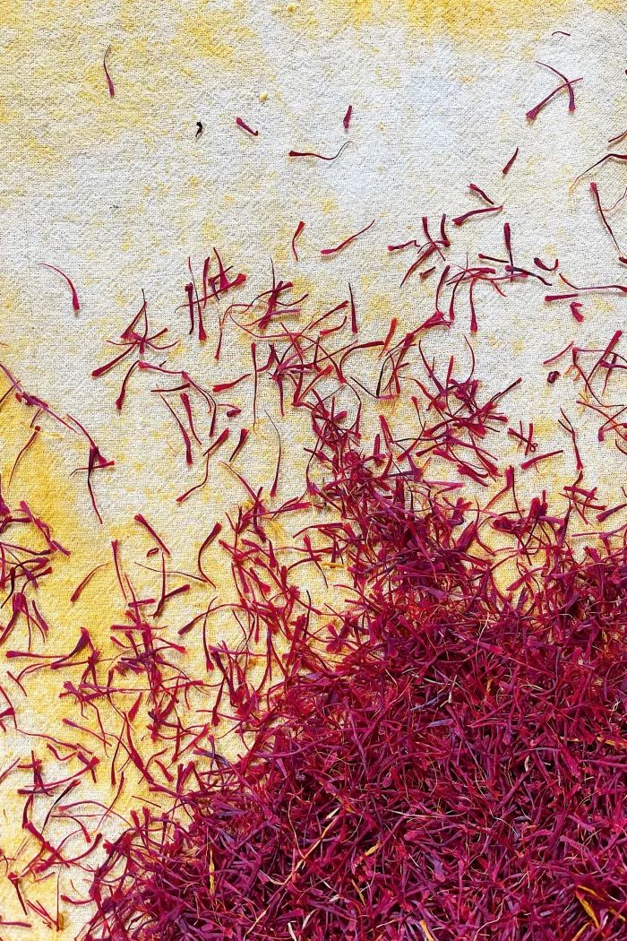 TCM Herbal Highlight: Saffron – Root + Bones