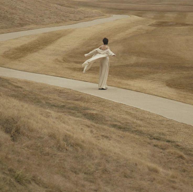 Tracing the Patterns of Wind – Root + Bones